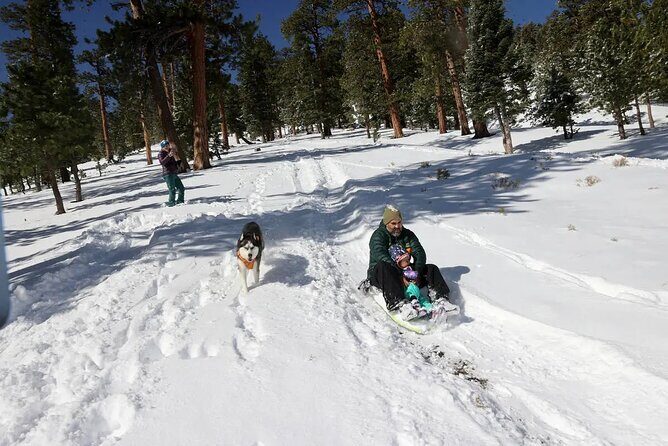 Ultimate Snowplay Adventure at Mount Charleston - FAQs