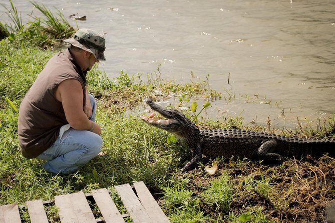 Ultimate Swamp Tour Experience with Transportation from New Orleans - The Cultural and Environmental Context