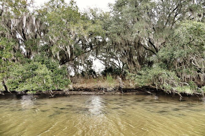 Ultimate Swamp Tour Experience with Transportation from New Orleans - Real Traveler Experiences