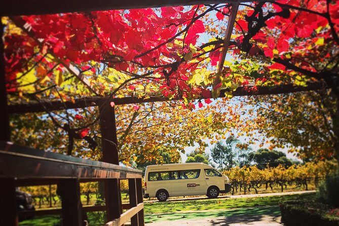 Ultimate Swan Valley Food and Wine Day Trip from Perth - FAQs