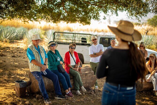 Ultimate tequila 2 day trip from Puerto Vallarta - Value for Money: Is It Worth $499?
