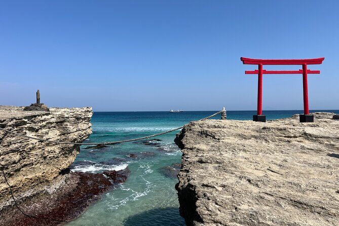 Ultimate View Izu Car Tour with Hotel Pickup and Local Guide - What Makes This Tour Stand Out?