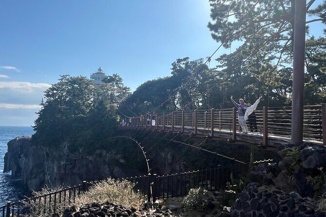 Ultimate View Izu Car Tour with Hotel Pickup and Local Guide - The Sum Up: Who Will Love This Tour?