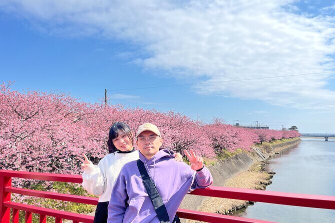 Ultimate View Izu Car Tour with Hotel Pickup and Local Guide - FAQ