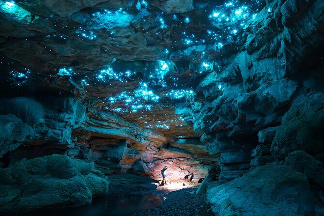 Ultimate Waitomo Glowworm Tour  Private, Tailored, After Dark - The Practical Side