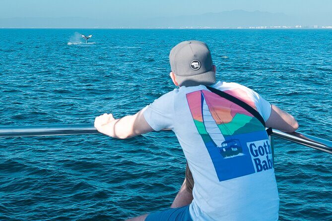 Ultimate Whale Watching Experience All-Inclusive - What’s Included and Why It Matters