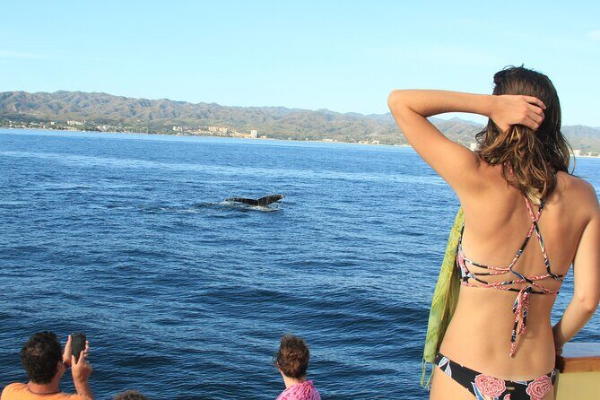 Ultimate Whale Watching Experience All-Inclusive - Wildlife and Natural Beauty