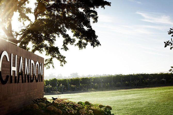 Ultimate Yarra Valley Chandon, Soumah & De Bortoli Cheese & Wine - Guides and Commentary: Knowledgeable and Engaging