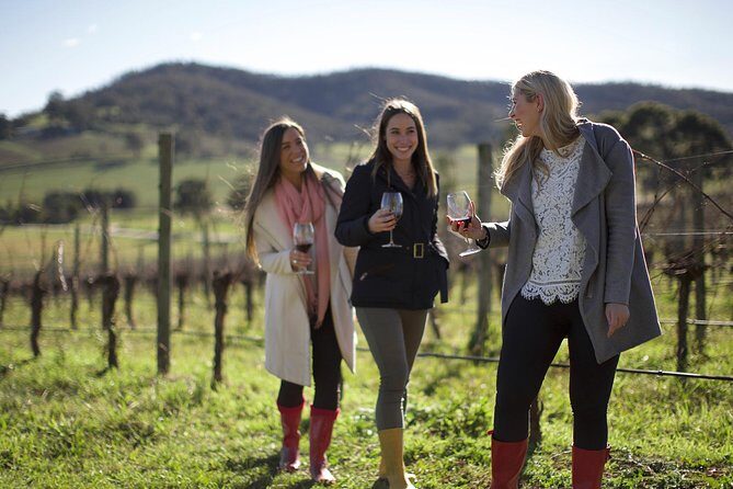 Ultimate Yarra Valley Chandon, Soumah & De Bortoli Cheese & Wine - Authentic Experiences and Authentic Feedback