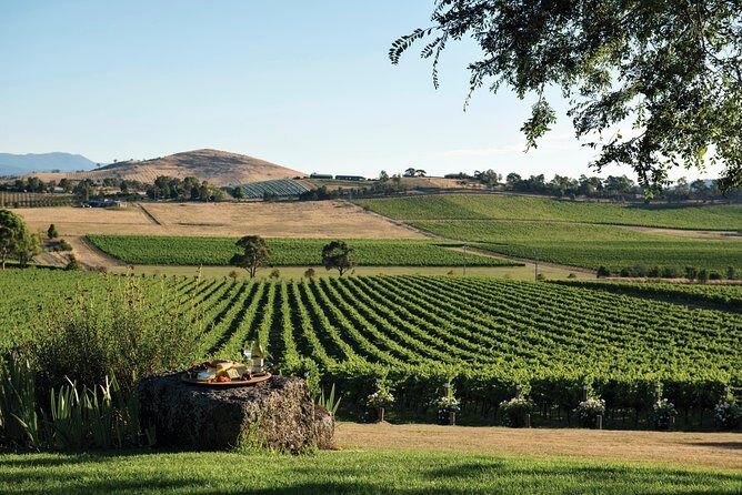 Ultimate Yarra Valley Chandon, Soumah & De Bortoli Cheese & Wine - Who Will Love This Tour?