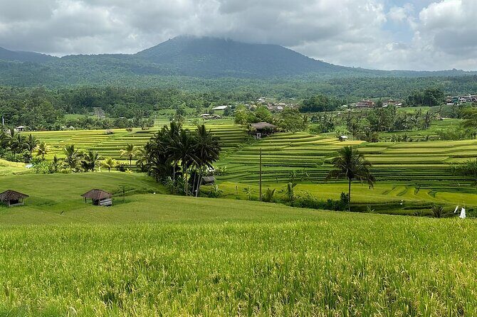 Ulun Danu Beratan Lake Temples, Waterfalls & Jatiluwih Rice Field - Who is This Tour Best For?