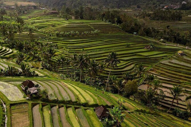 Ulundanu Bratan Temple Banyumala Waterfall and Rice Terrace Tour - FAQ