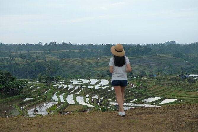 Ulundanu Bratan Temple, Jatiluwih Rice Terrace and Tanah Lot Sunset Tour - Key Points