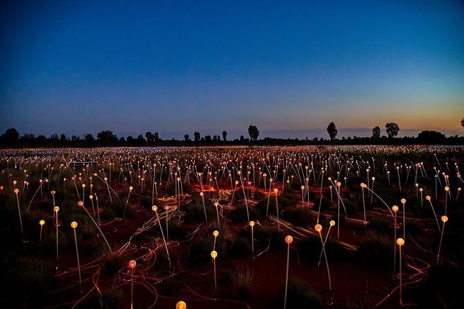 Uluru (Ayers Rock) Field of Light Sunrise Tour - Final Thoughts