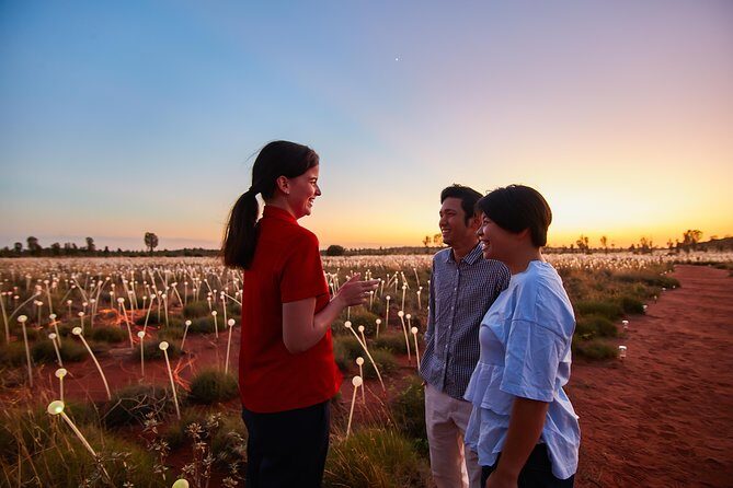 Uluru (Ayers Rock) Field of Light Sunrise Tour - FAQs