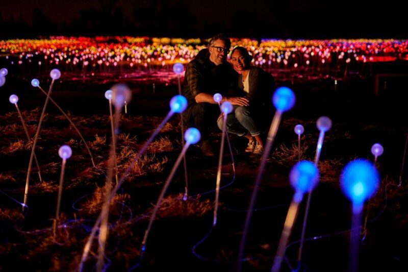 Uluru: Field of Light Sunrise Tour with Hot Drinks - Key Points