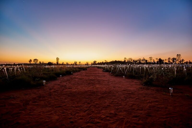 Uluru: Field of Light Sunrise Tour with Hot Drinks - Final Thought: Is It Worth It?