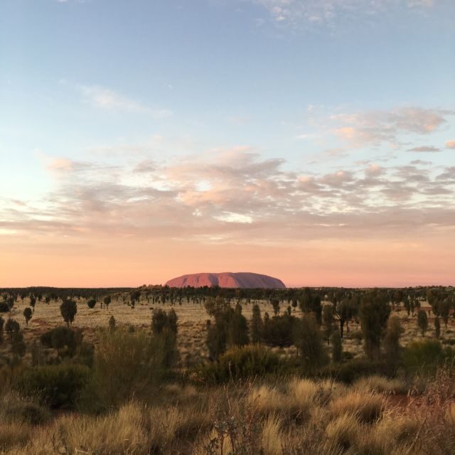Uluru: Field of Light Sunrise Tour with Hot Drinks - The Sum Up