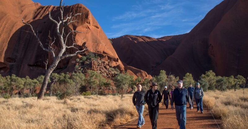 Uluru Highlights Small Group Morning Tour + Picnic Breakfast - An In-Depth Look at the Tour Experience