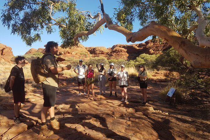 Uluru, Kata Tjuta and Kings Canyon Camping Safari from Ayers Rock - Authentic Experiences & Review Highlights