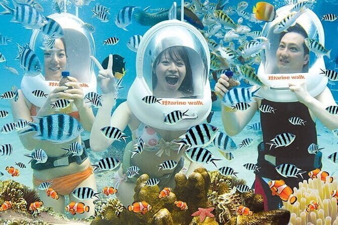 Uluwatu Temple and Kecak Dance Sunset Private Tour - Key Points