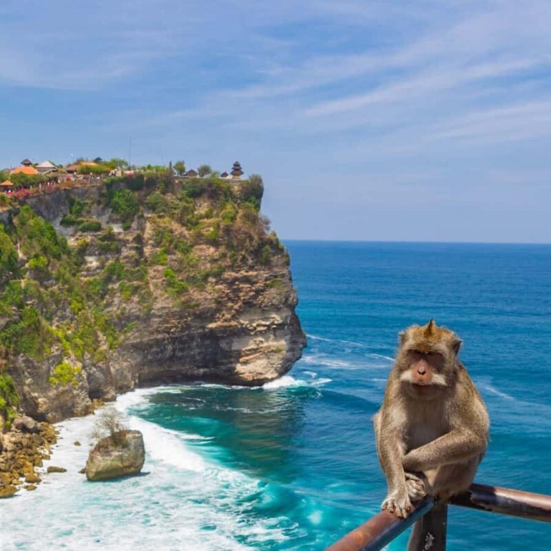 Uluwatu: Temples, Kecak Dance With Breathtaking Views - What the Reviews Say