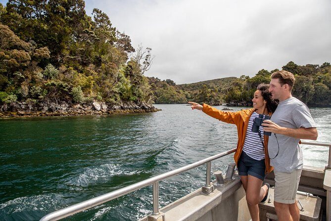 Ulva Island Explorer from Stewart Island - A Detailed Look at the Ulva Island Explorer Tour