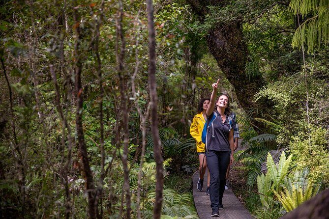 Ulva Island Explorer from Stewart Island - Final Thoughts
