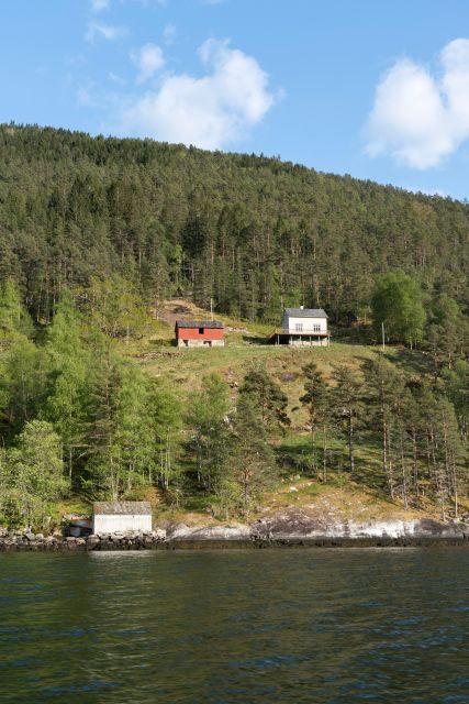 Ulvik adventure: Exploring Hardangerfjord's Osafjord by RIB - Who This Tour Is Best For