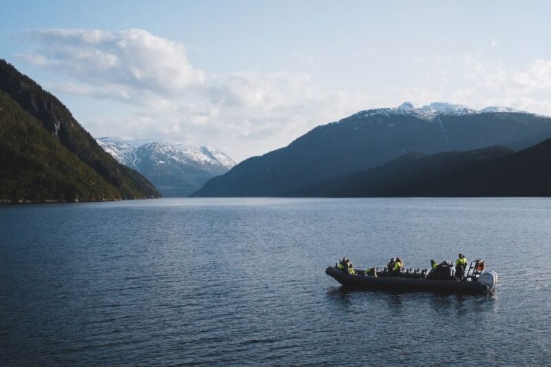 Ulvik: Hardangerfjord Ultimate RIB Safari - Key Points