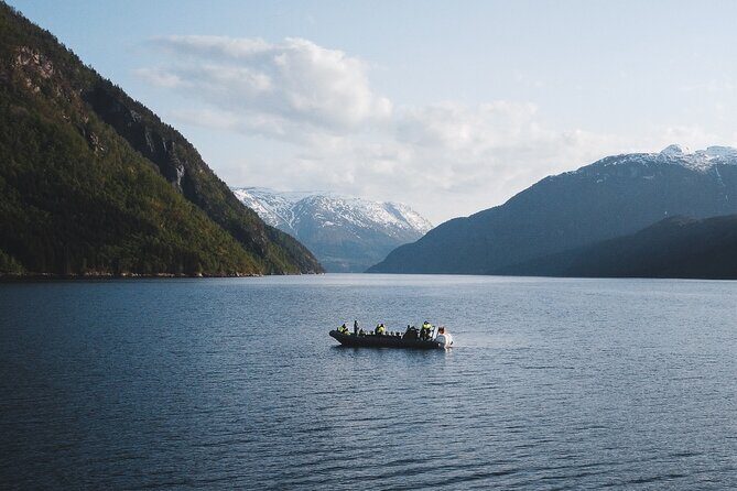 Ulvik Ultimate Hardangerfjord RIB adventure - What to Expect During the Trip