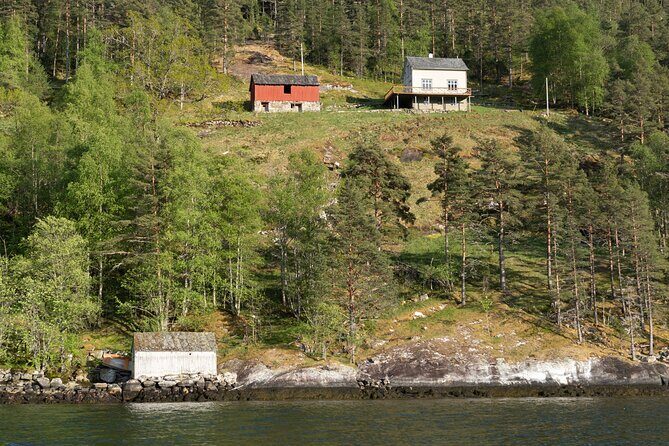 Ulvik Ultimate Hardangerfjord RIB adventure - Value and Practical Considerations
