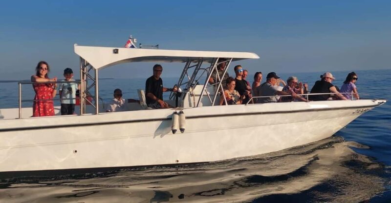 Umag: Dolphinwatching & sunset panorama tour - Introduction