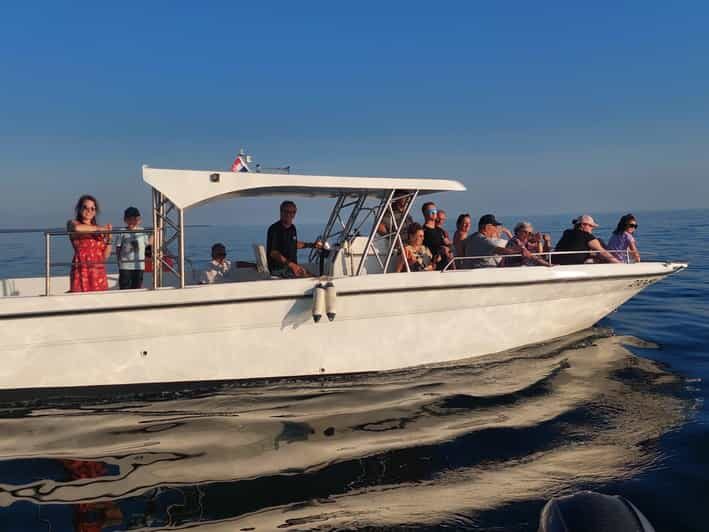 Umag: Dolphinwatching & sunset panorama tour - The Sum Up