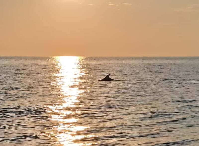 Umag; private speedboat rental with captain - Final Thoughts: Is It Worth It?