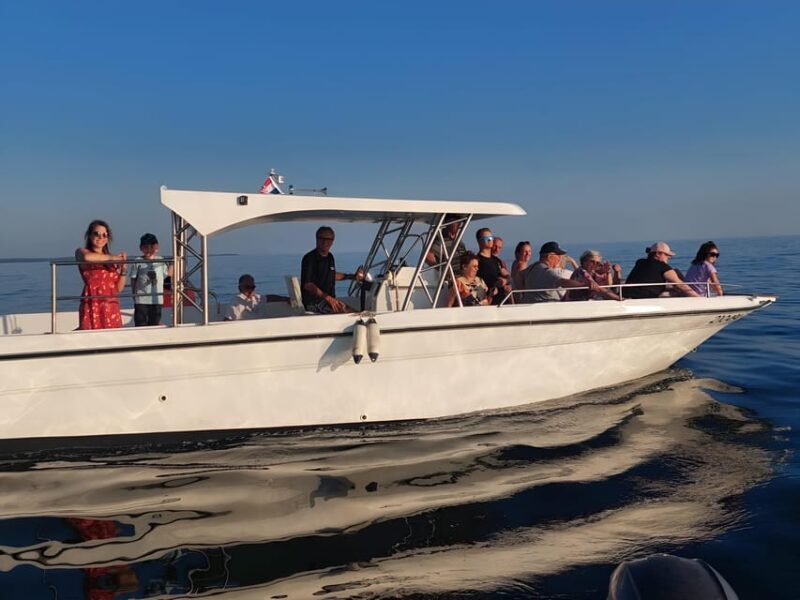 Umag: Snorkeling & dolphin watching morning boat tour - The Sum Up