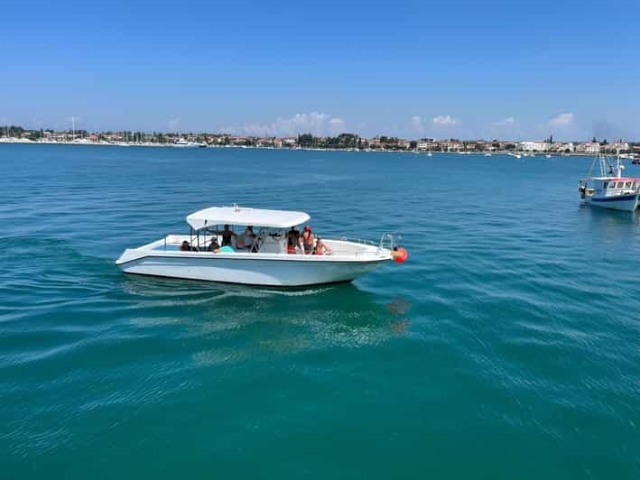 Umag: Snorkeling & dolphinwatching morning boat tour - What You Get for Your Money