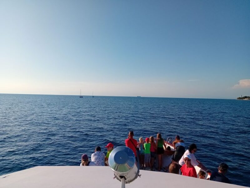 Umag: Sunset Cruise with Dolphin Spotting - An Honest Look at the Experience