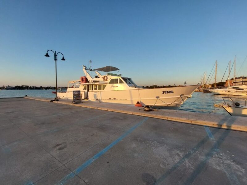 Umag: Sunset Cruise with Dolphin Spotting - Final Thoughts