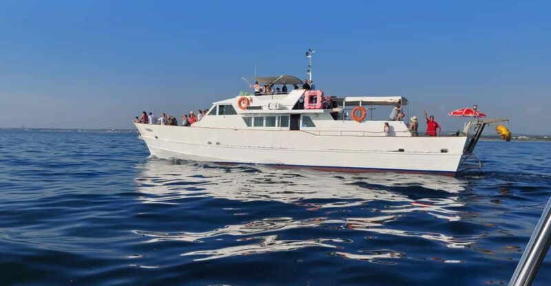 UMAG: Swimming&Panorama / Welcome Drink and Dolphin spotting - Key Points