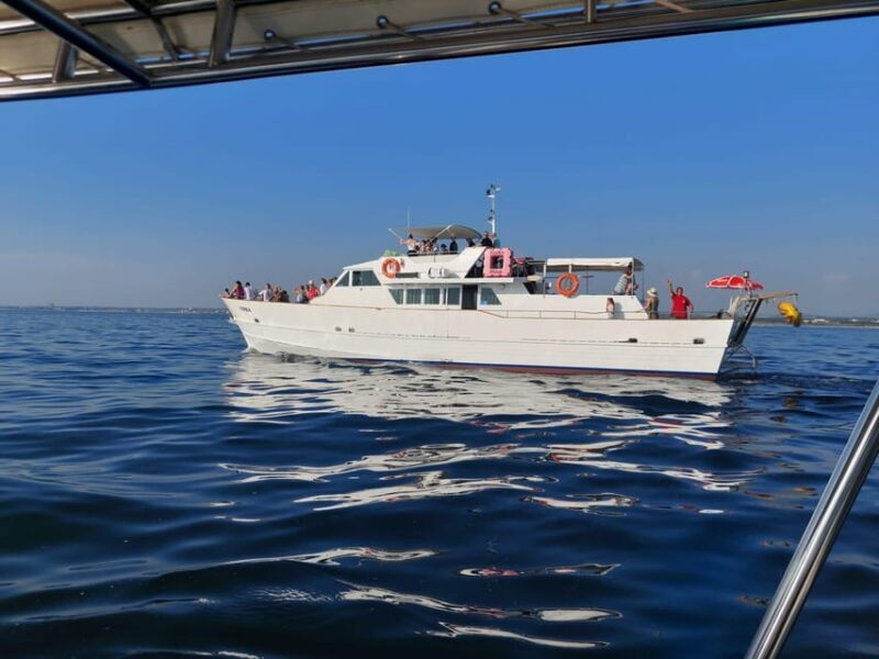UMAG: Swimming&Panorama / Welcome Drink and Dolphin spotting - How to Make the Most of Your Trip