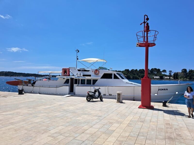 UMAG: Swimming&Panorama / Welcome Drink and Dolphin spotting - The Value of This Coastal Cruise