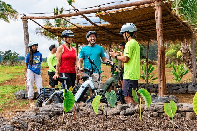Umauma Falls eBike Tour in Hakalau - What Makes This Tour Stand Out