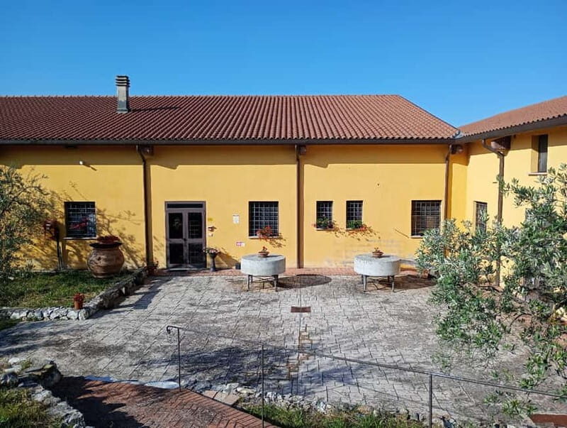 Umbria: guided tour to traditional oil mill + tasting - Exploring the Umbrian Olive Oil Mill Tour: What You Can Expect
