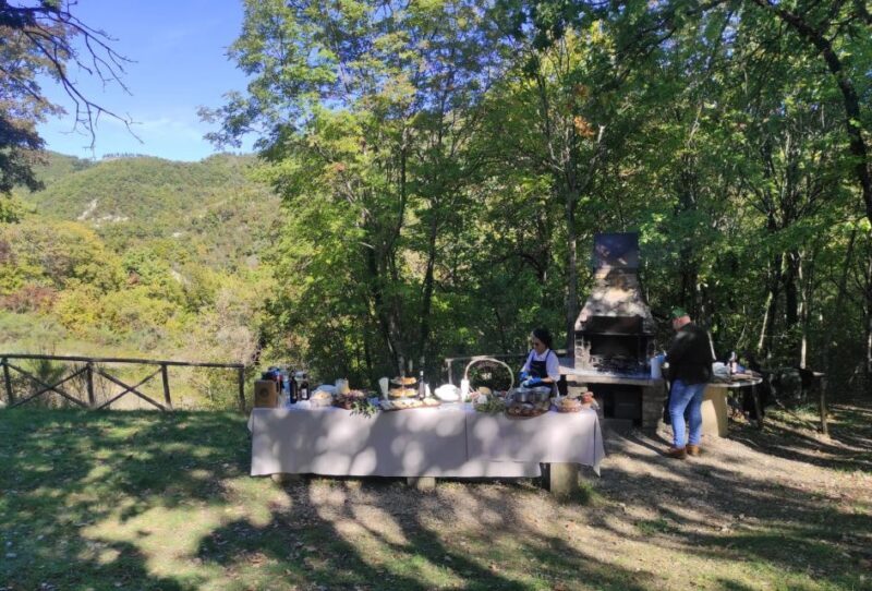 Umbria: Truffle hunting in the woods with lunch - Key Points