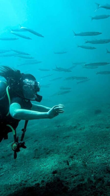 Unawatuna: Discover Scuba Diving Experience for Beginners - Logistics and Practicalities