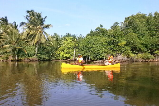 Unawatuna Lagoon Canoeing Excursion - Breaking Down the Itinerary: What to Expect