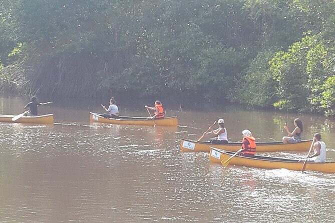 Unawatuna Lagoon Canoeing Excursion - The Sum Up: Why This Tour Stands Out