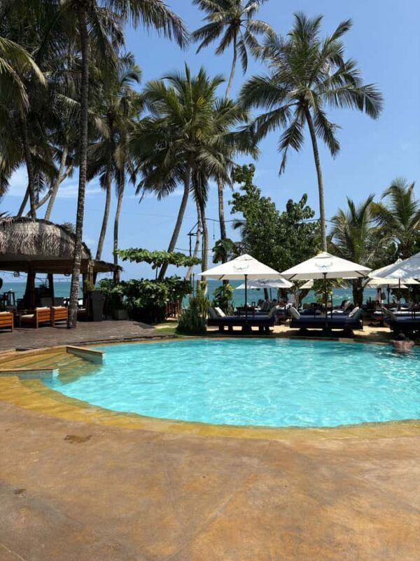 Unawatuna: The Angel Beach Dip&Dine and Cocktails Experience - Key Points