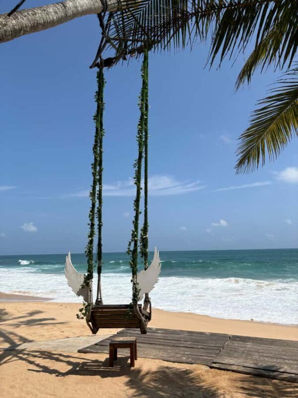 Unawatuna: The Angel Beach Dip&Dine and Cocktails Experience - What to Expect at The Angel Beach Pool Club